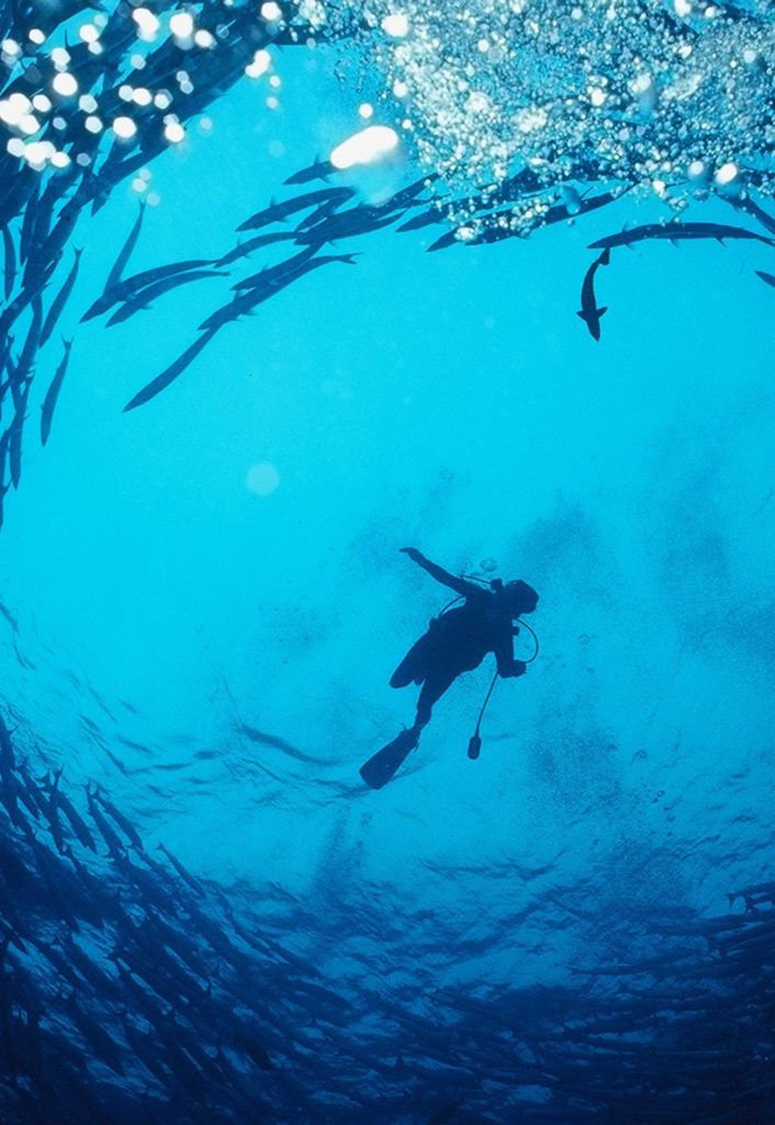 Concept | Pulchra Resort, Cebu